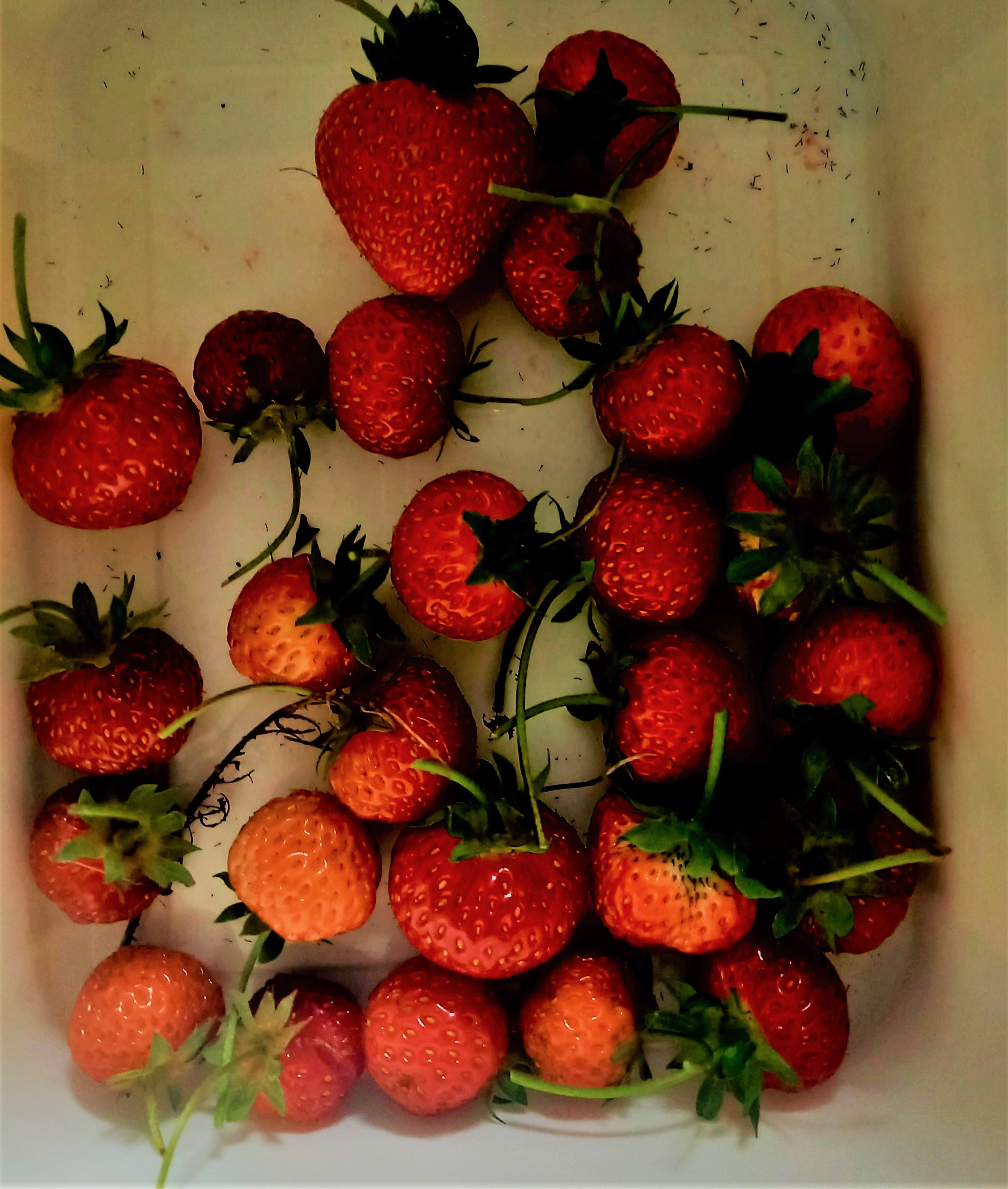 Strawberry breakfast … – Smashing Single Parenthood